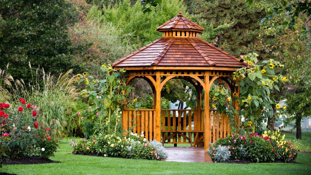 Western Red Cedar Lumber - Russin