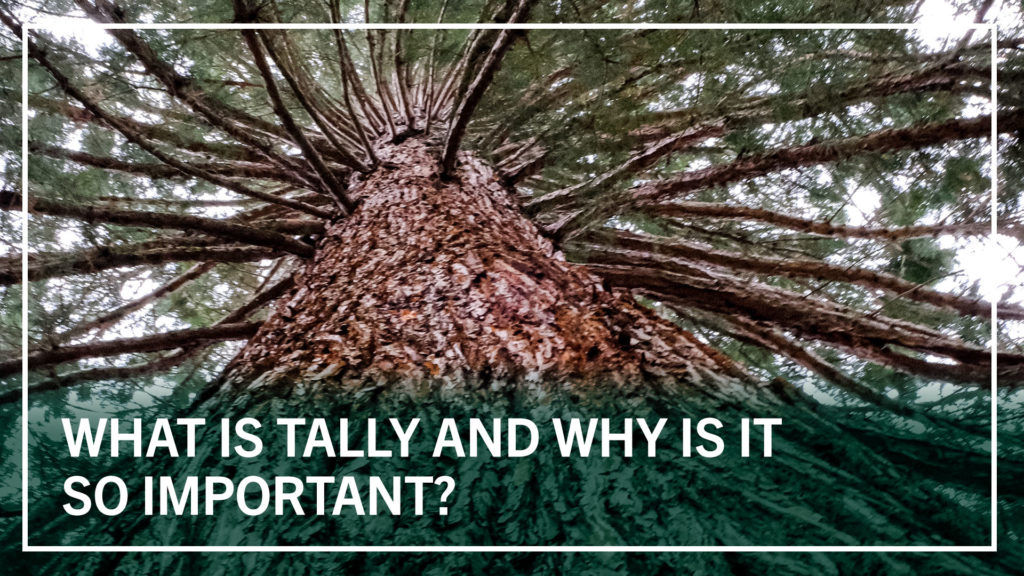 What is Tally and Why is it So Important? - Russin